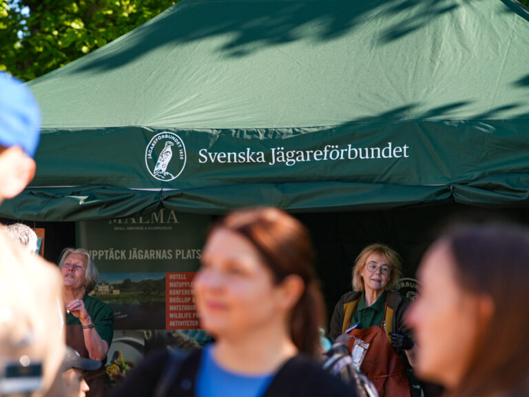 16 140 besökare skapade folkfest på Swedish Game Fair 2026 - Swedish ...